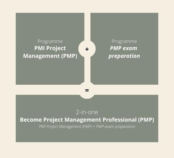 PMI® and PMP® courses | Mannaz